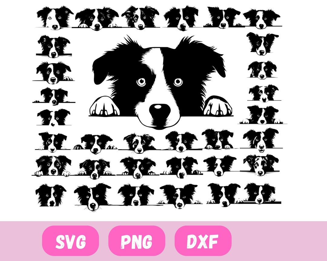 Peeking Border Collie Svg, Border Collie Svg, Pet Dog Svg, Dog Svg, Dog ...