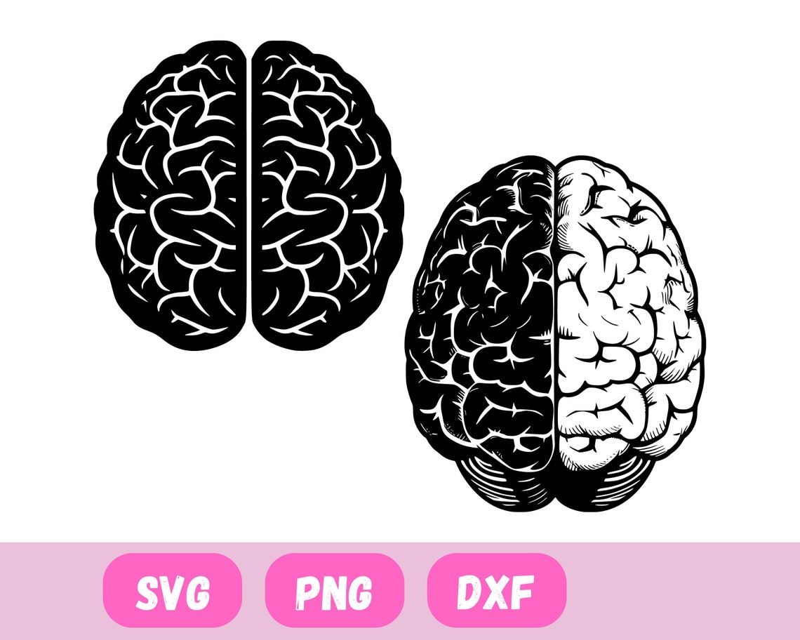 Brain SVG, Brain PNG, Human Brain SVG, Brain Clipart, Svg Files for ...