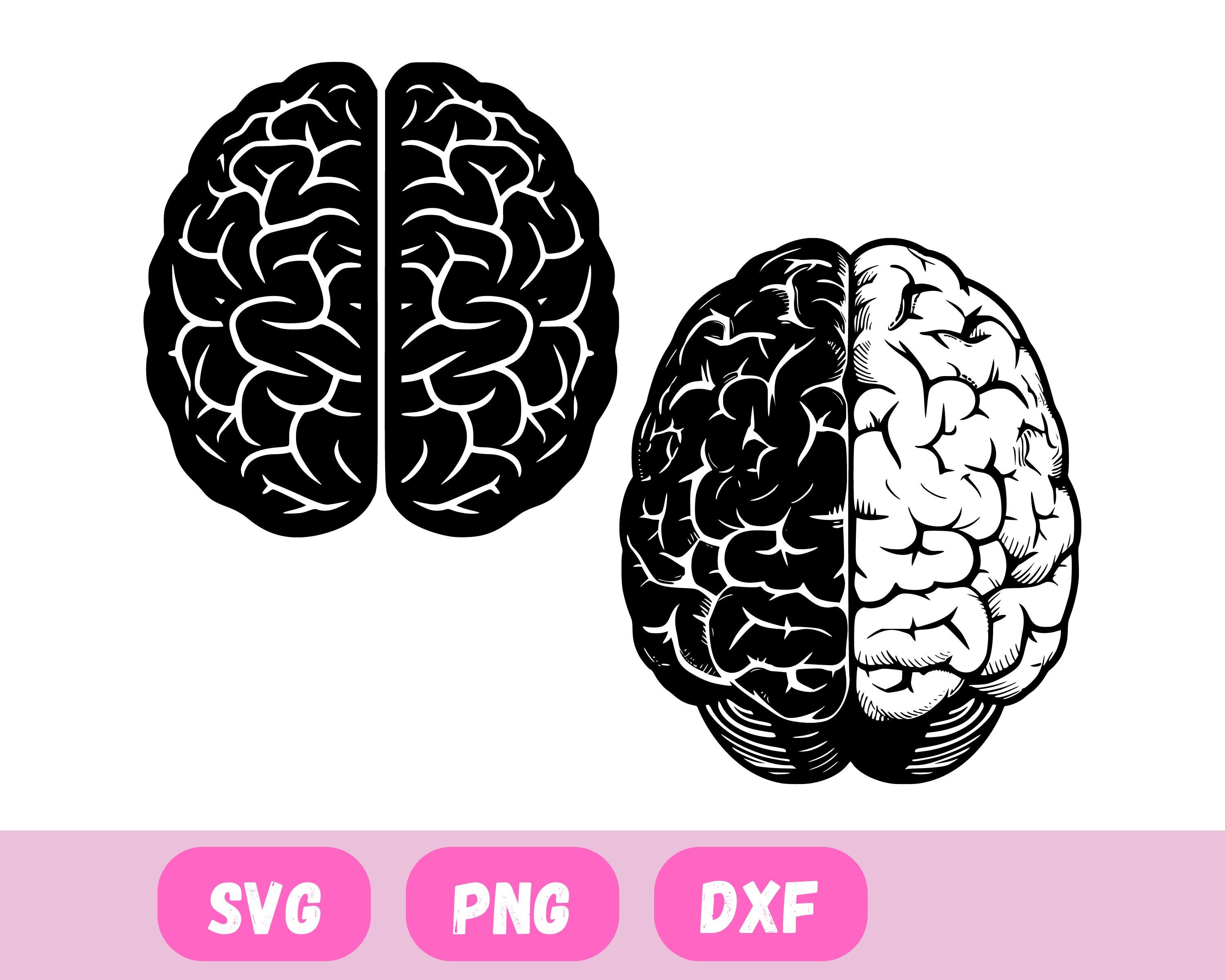 Brain SVG, Brain PNG, Human Brain SVG, Brain Clipart, Svg Files for ...