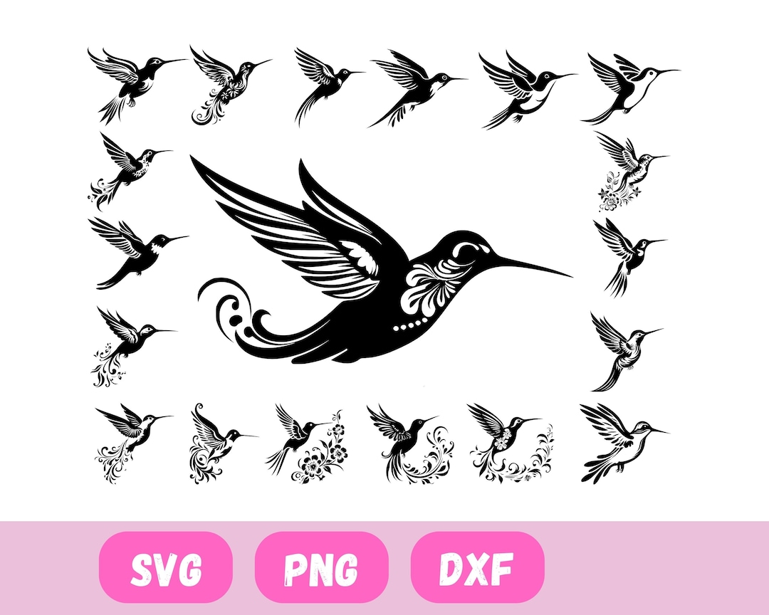 Hummingbird SVG, Svg Files for Cricut, Wildflower Svg, Hummingbird Png ...
