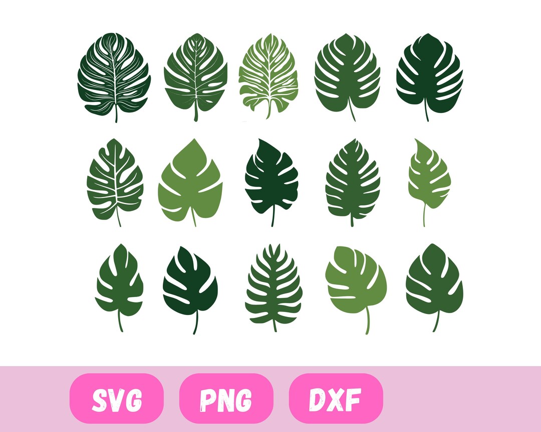 Leaves Bundle, Svg Files for Cricut, Leaf Svg, Monstera Svg, Leaf Png ...