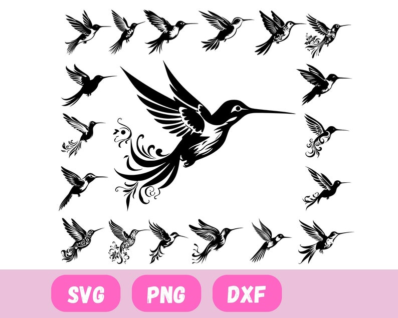 Colibrí SVG, archivos Svg para cricut, flores silvestres svg, colibrí ...