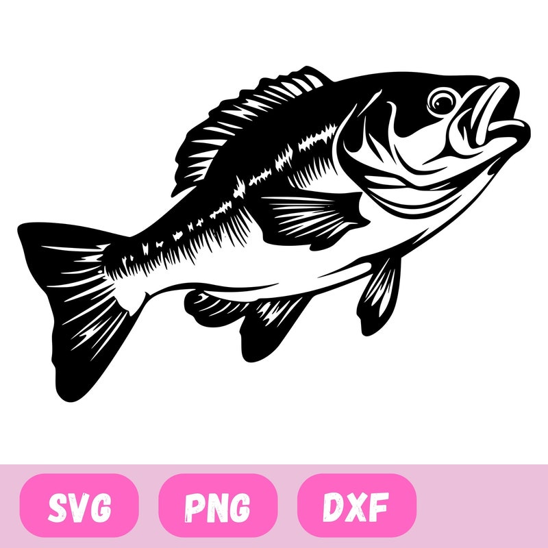 Bass Fish Svg - Etsy