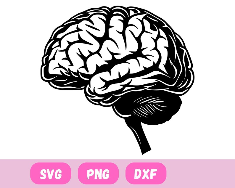 Brain SVG, Brain PNG, Human Brain SVG, Brain Clipart, Svg Files for ...