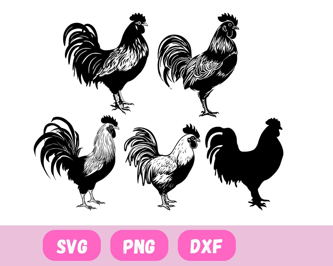 Rooster SVG, Chicken Png, Rooster Clipart, Svg Files for Cricut ...