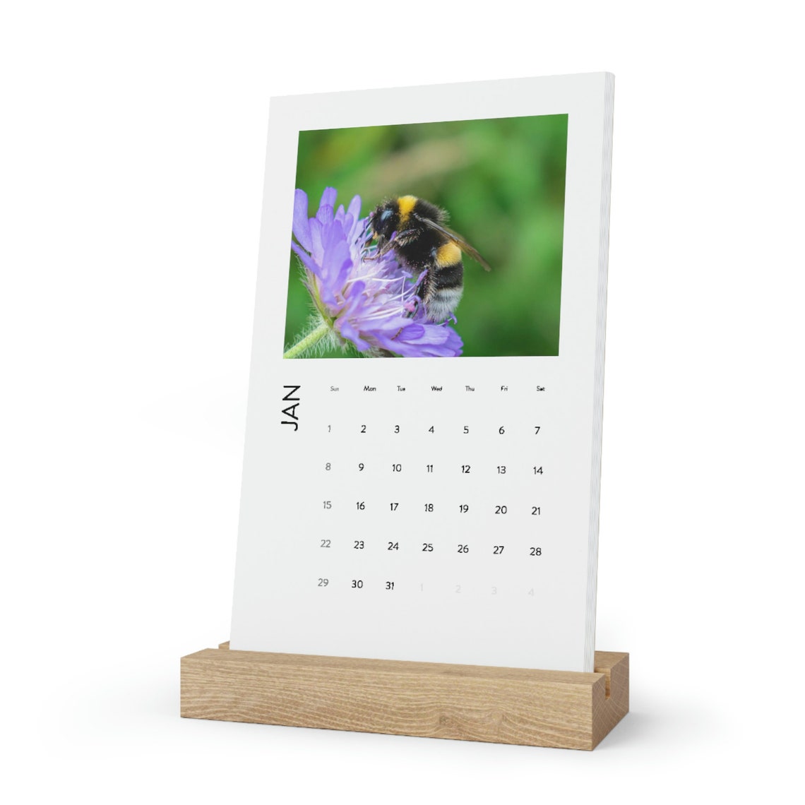 Pollinator Desk Calendar, 2023 Desk Calendar, Desk Calendar, Desk ...