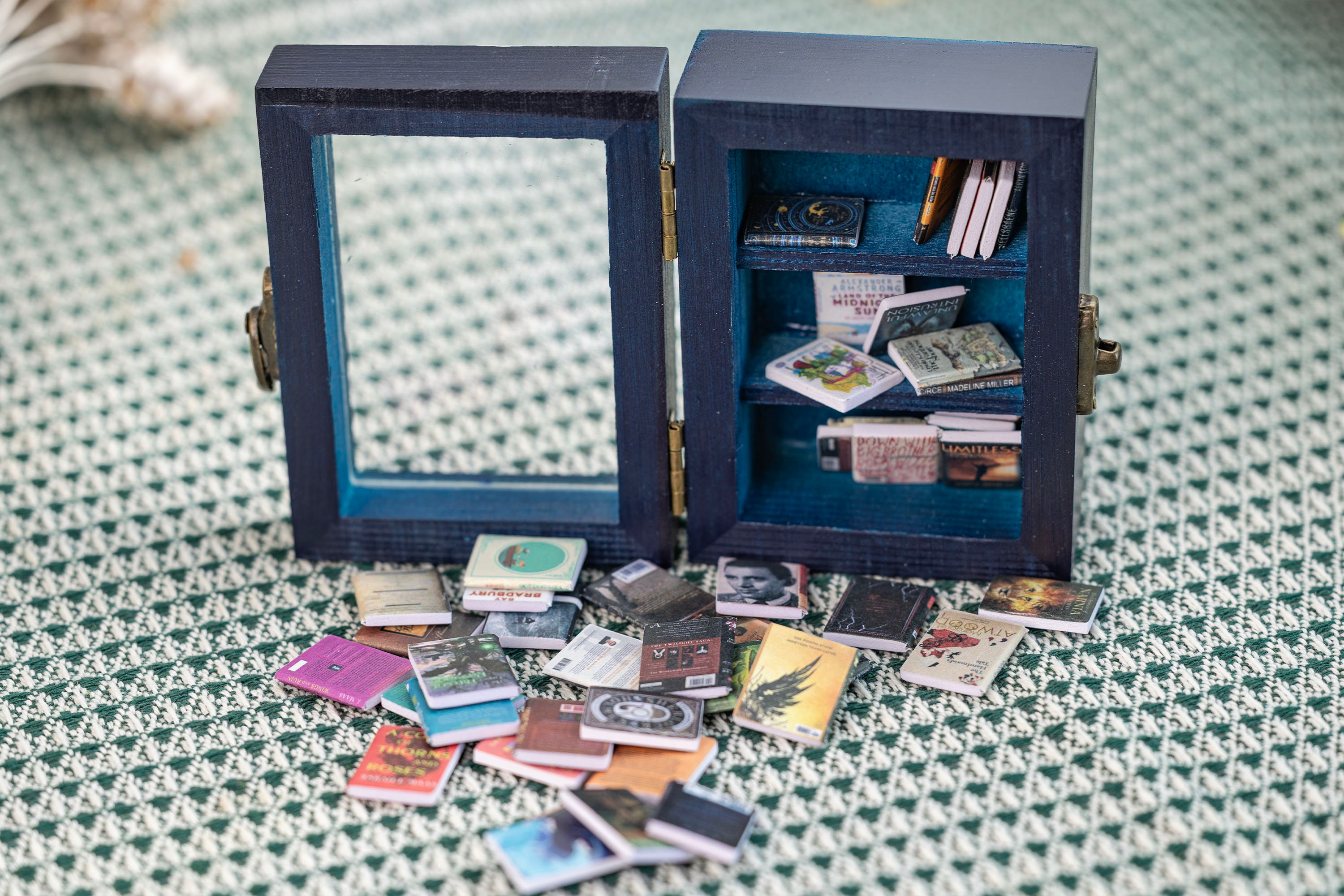 Vintage Pocket Edition Anxiety Bookcase, Customizable Mini Bookshelf ...