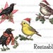 Christmas Bird Clipart Bundle, Vintage Inspired, Christmas Card Art ...