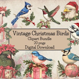Christmas Bird Clipart Bundle, Vintage Inspired, Christmas Card Art ...