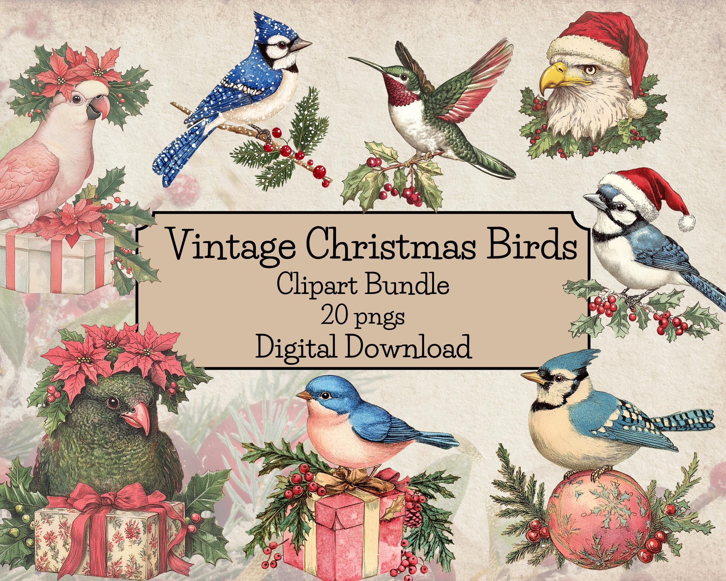 Christmas Bird Clipart Bundle, Vintage Inspired, Christmas Card Art ...
