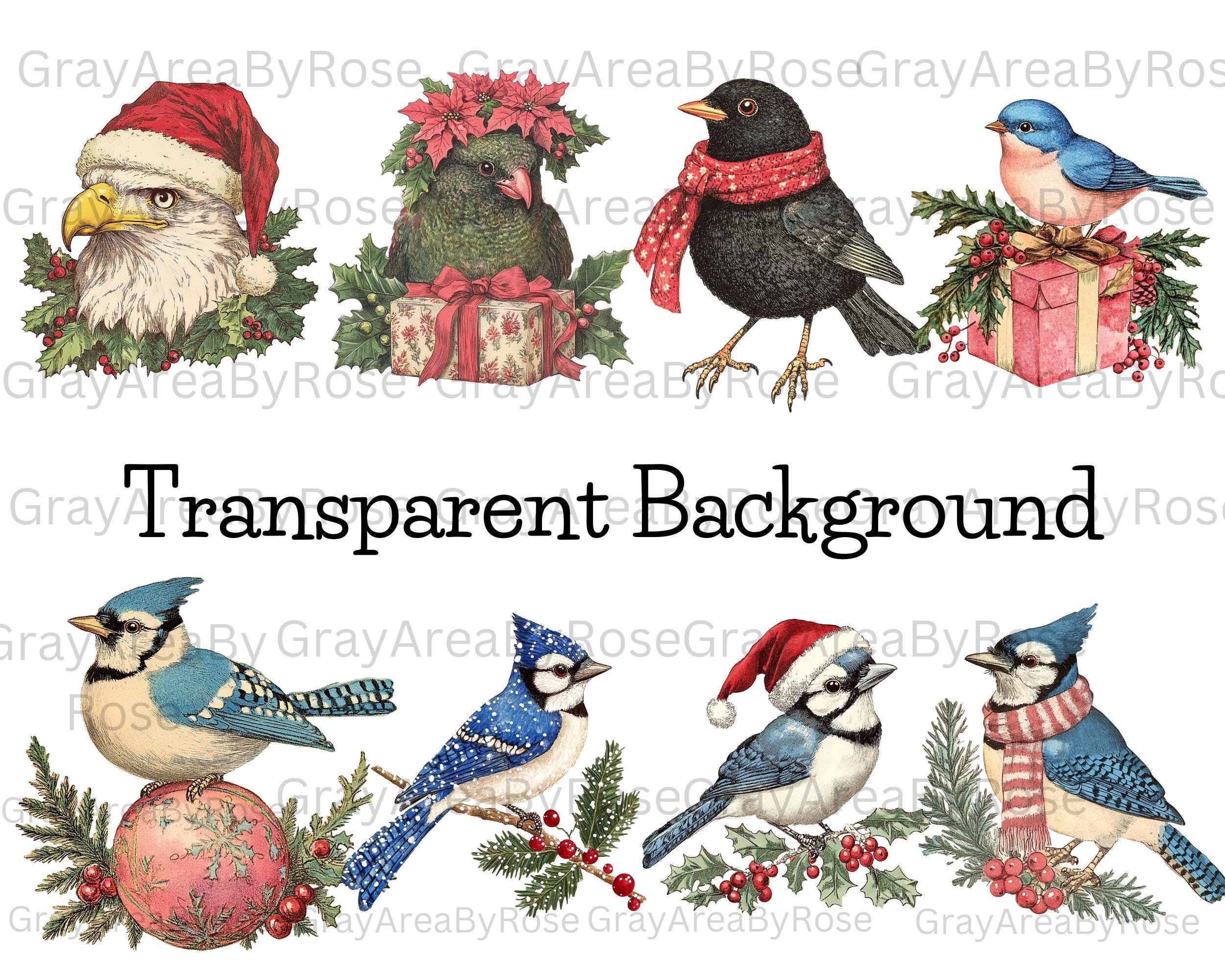 Christmas Bird Clipart Bundle, Vintage Inspired, Christmas Card Art ...