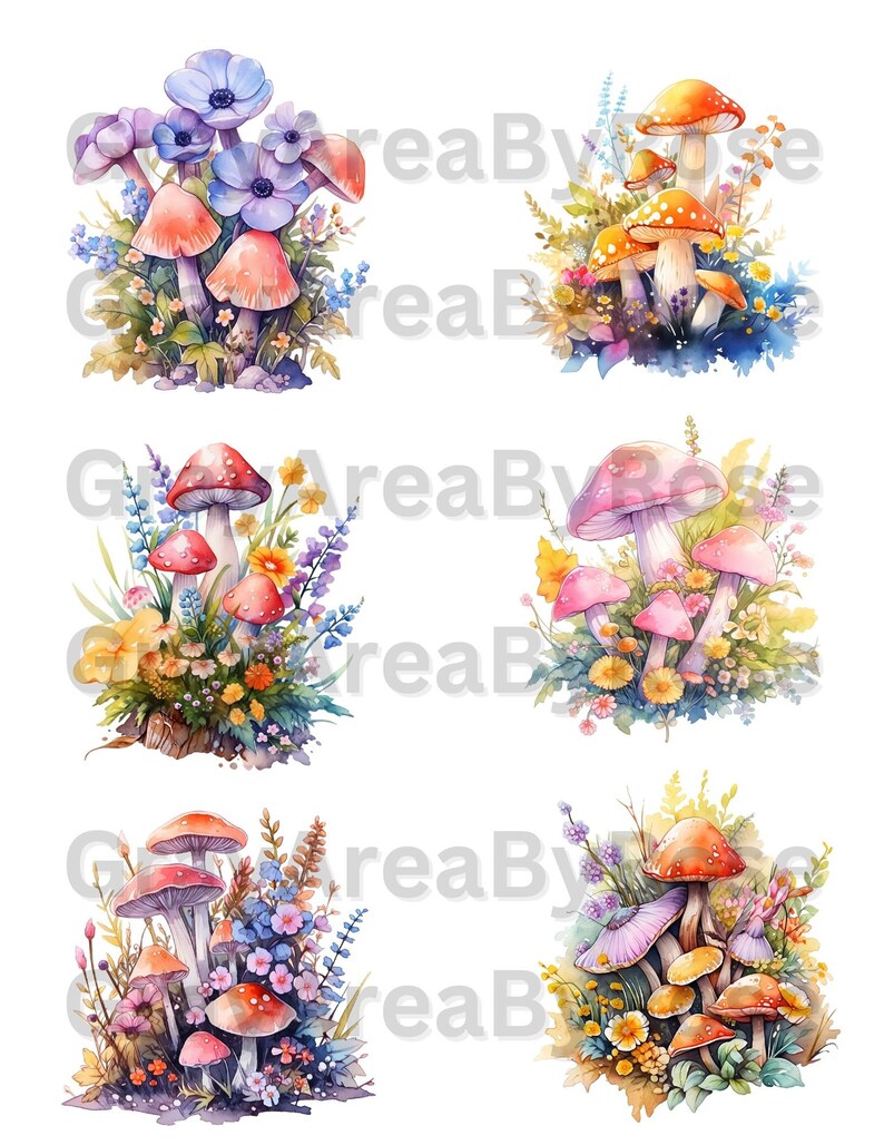 Mushroom Clipart Bundle, Watercolor Style (PNG, Digital Download) - Etsy