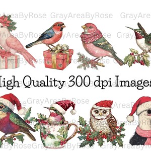 Christmas Bird Clipart Bundle, Vintage Inspired, Christmas Card Art ...
