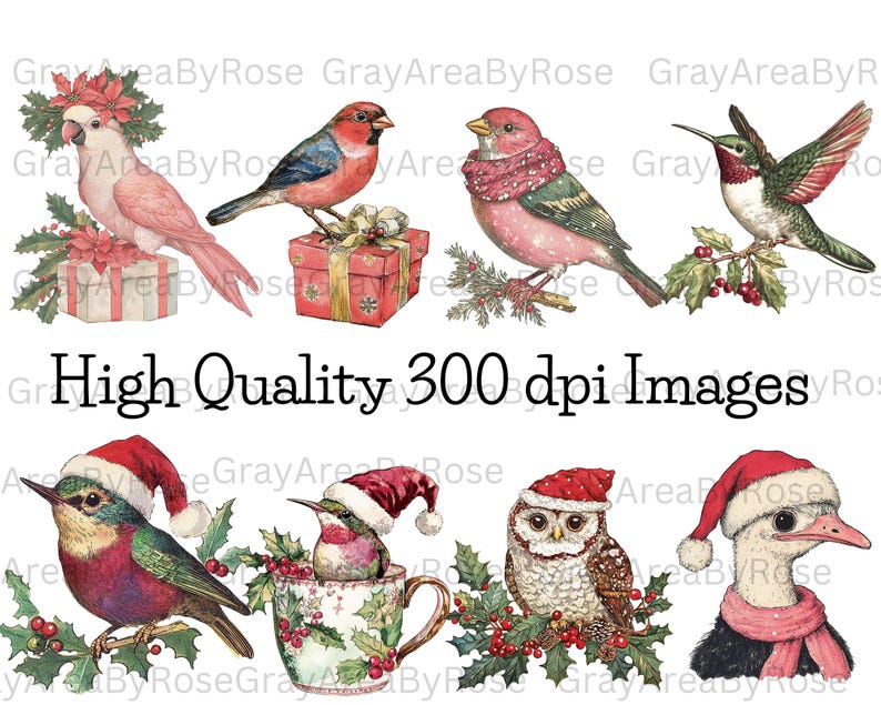 Christmas Bird Clipart Bundle, Vintage Inspired, Christmas Card Art ...