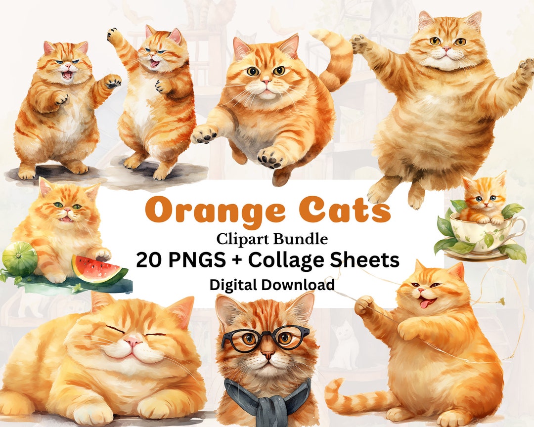 20 Watercolor Orange Cat Clipart Scrapbooking Junk Journal Invitations ...