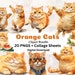 Watercolor Orange Cat Clipart Scrapbooking Junk Journal Invitations ...