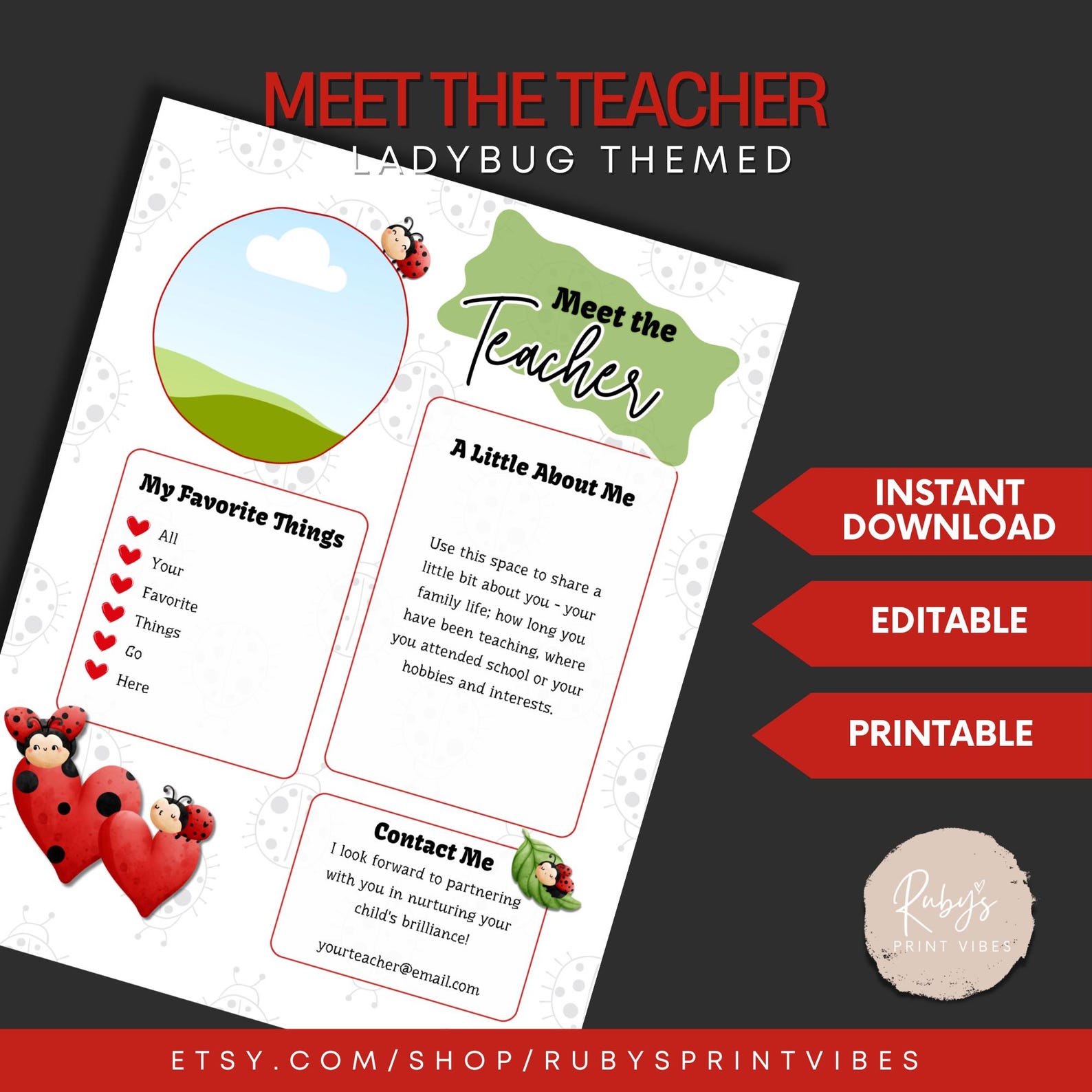Meet the Teacher Template Editable in Canva Teacher Introduction Flyer ...