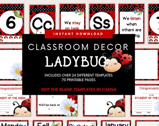 Meet the Teacher Template Editable in Canva Teacher Introduction Flyer ...