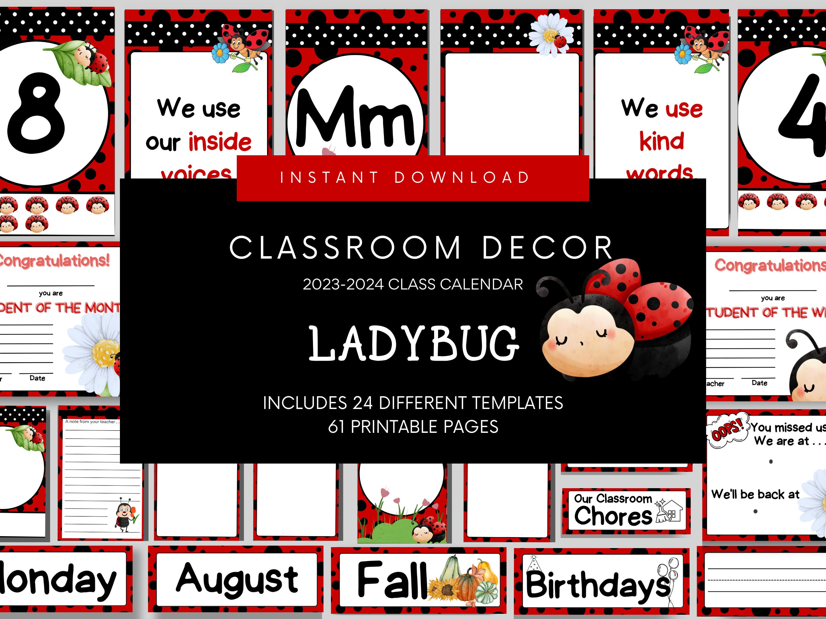Ladybug Decorations For Classroom
