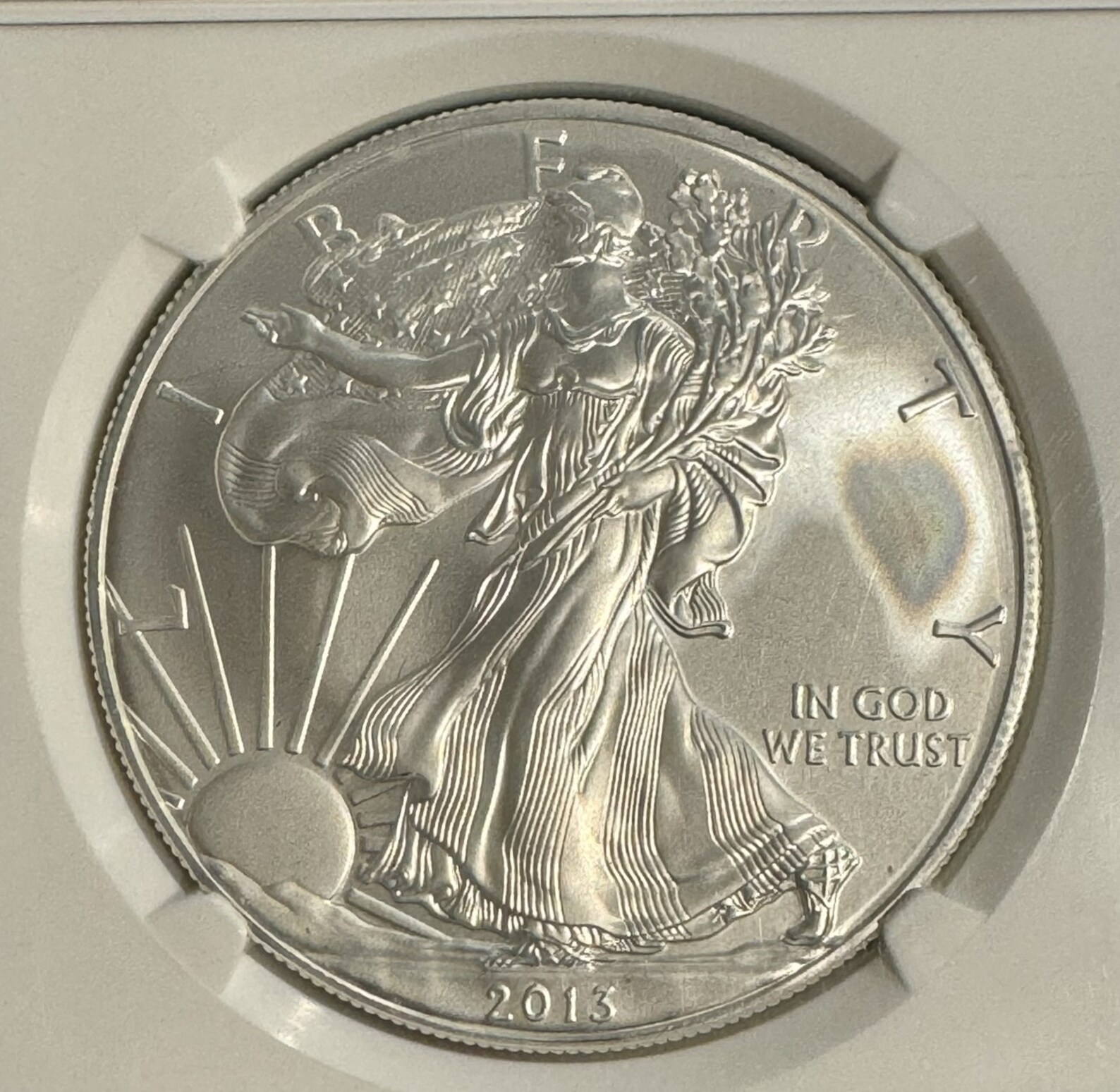 2013 S Silver Eagle Early Releases NGC MS69 USA Flag Label - Etsy