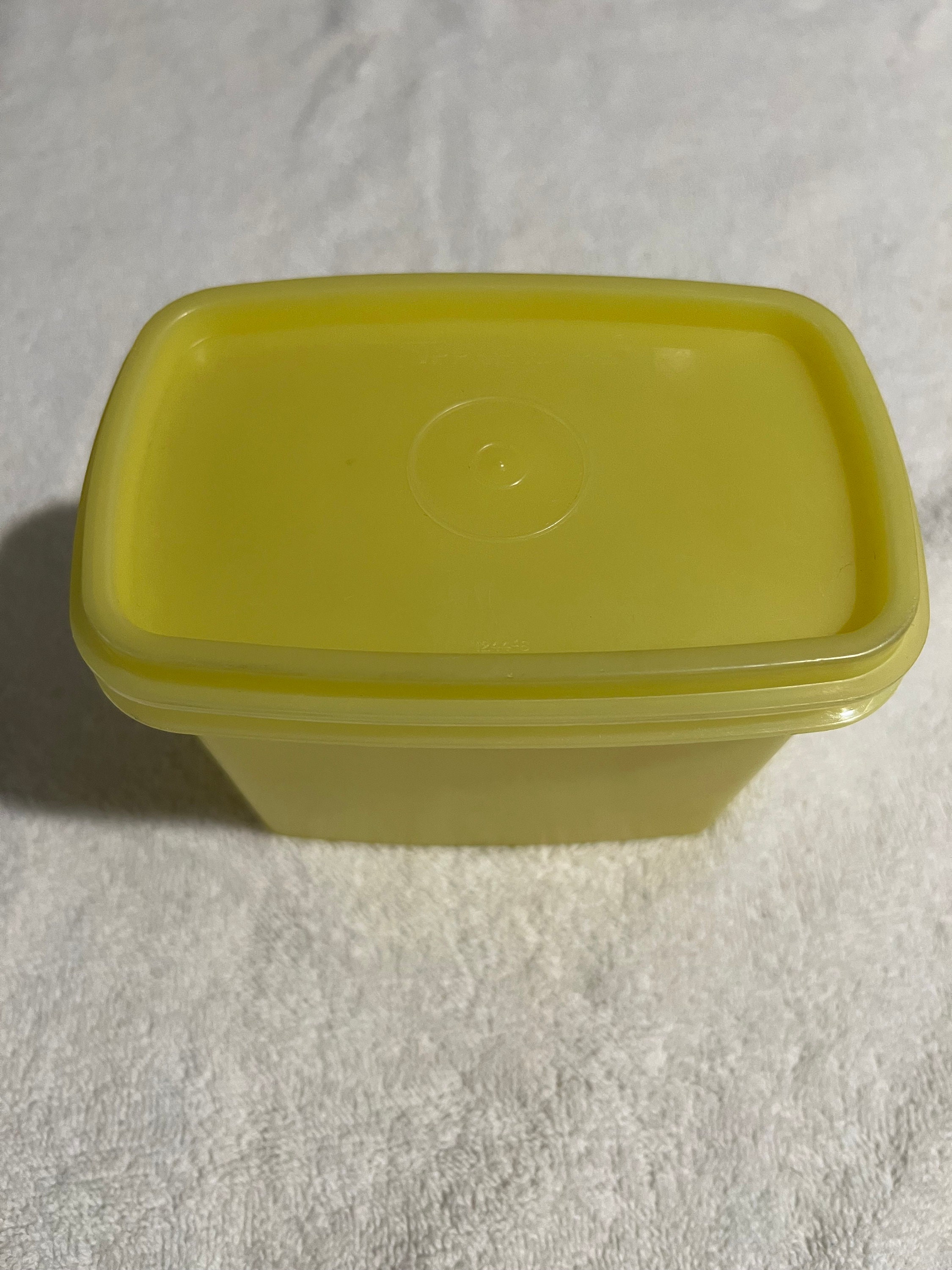 Vintage Tupperware Container 1243-6 With Lid 1244-8. Its a Rectangular ...