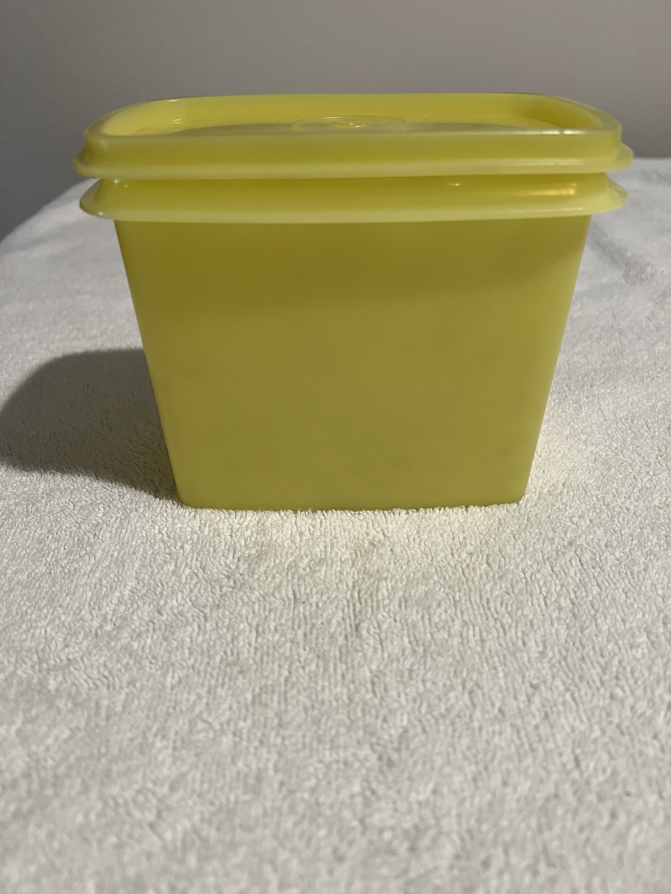 Vintage Tupperware Container 1243-6 With Lid 1244-8. Its a Rectangular ...