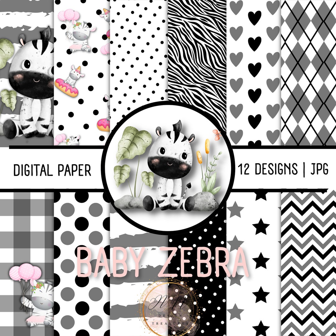Baby Zebra Digital Paper Pack, Black and White Paper, Safari Digital ...