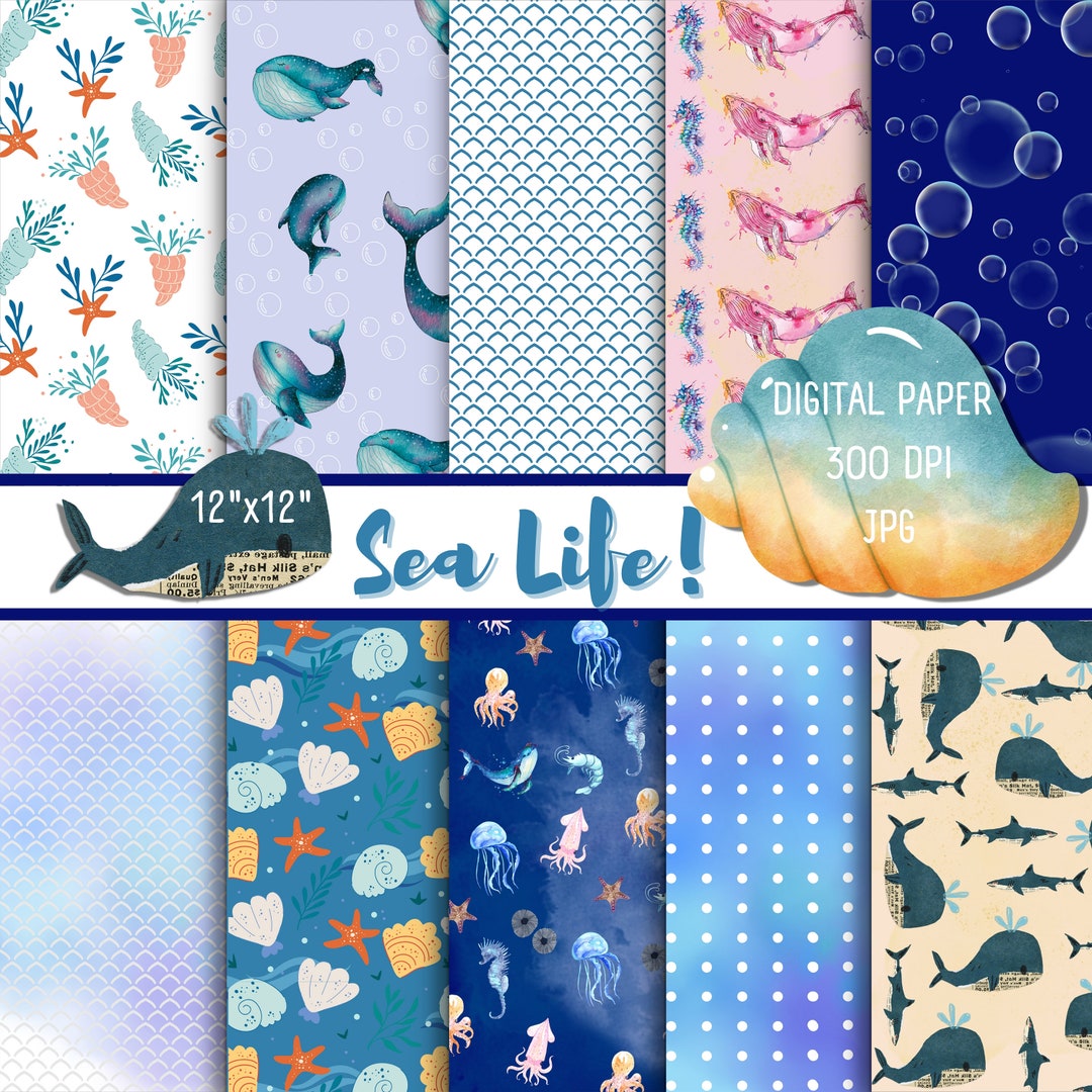 Underwater Background, Sea Life Digital Printable Paper, Whale Clip Art ...