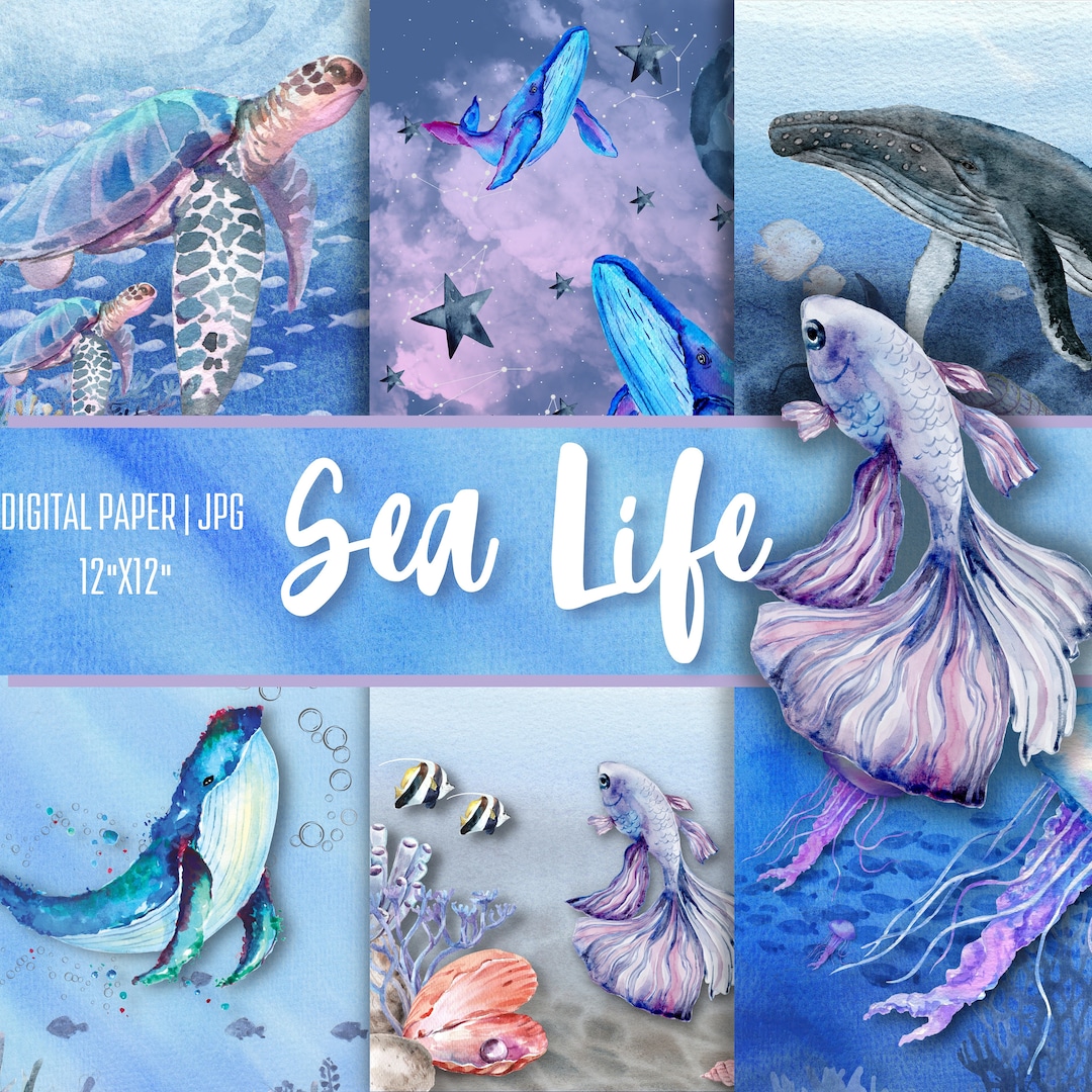 Sea Life Digital Paper, Seamess Print, Underwater Watercolor Creations ...