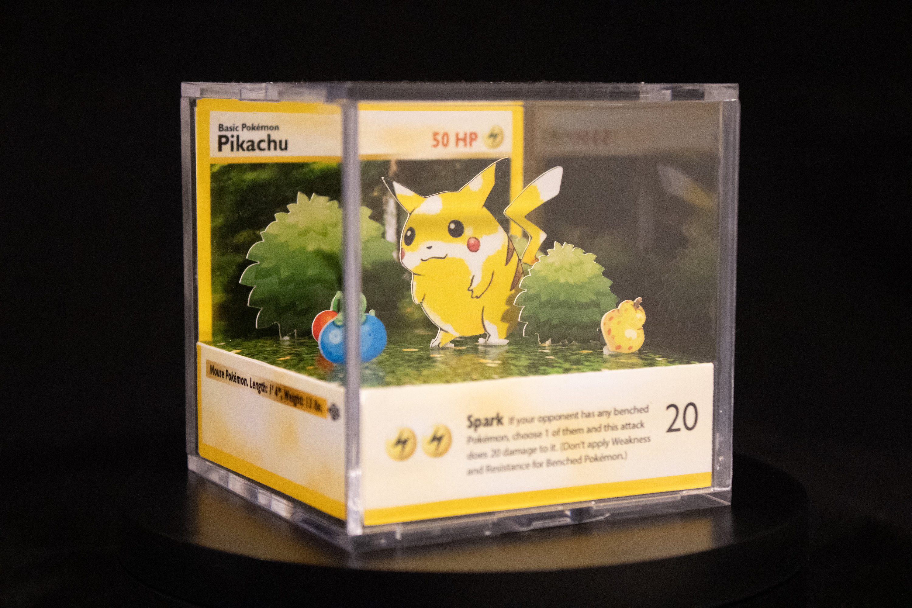 Collectible 3D Pokemon Cube Diorama Jungle Edition Pikachu Card Perfect ...