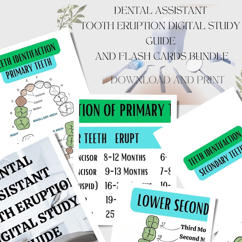 Dental Assistant Printable - Etsy