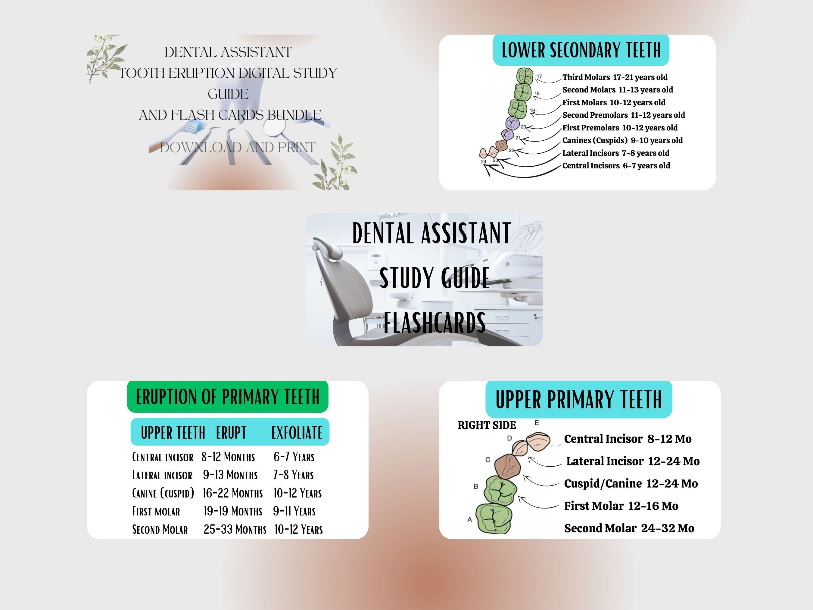 Dental Assistant Study Cards, Dental Study Cards, Dental Hygiene Guide ...