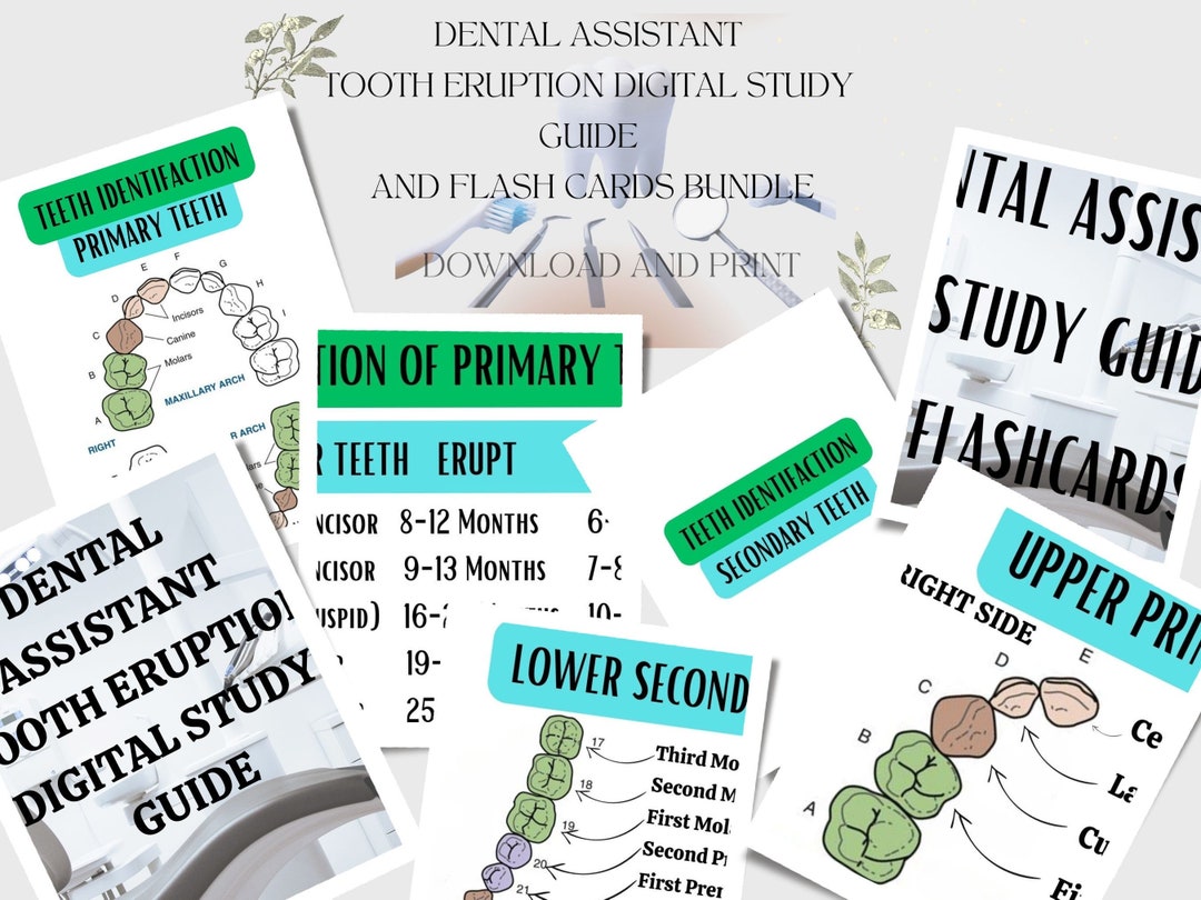 Dental Assistant Study Cards, Dental Study Cards, Dental Hygiene Guide ...