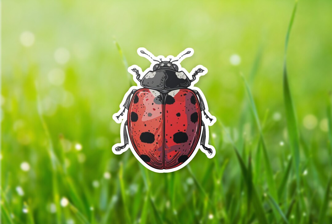 Ladybug Vinyl Sticker, Red Ladybug Decal, Insect Lover Gift, Bug Laptop ...