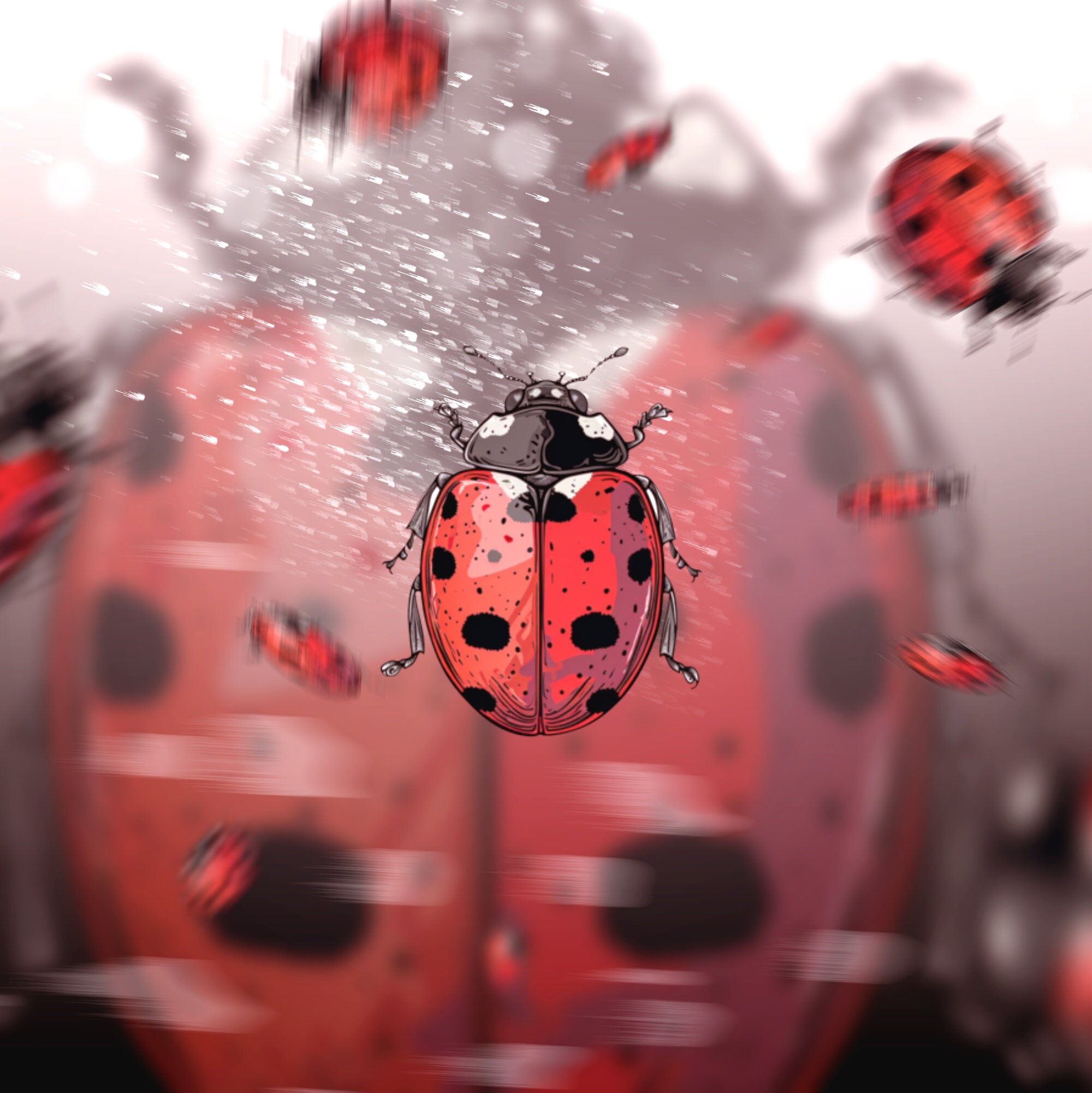 Ladybug Vinyl Sticker, Red Ladybug Decal, Insect Lover Gift, Bug Laptop ...