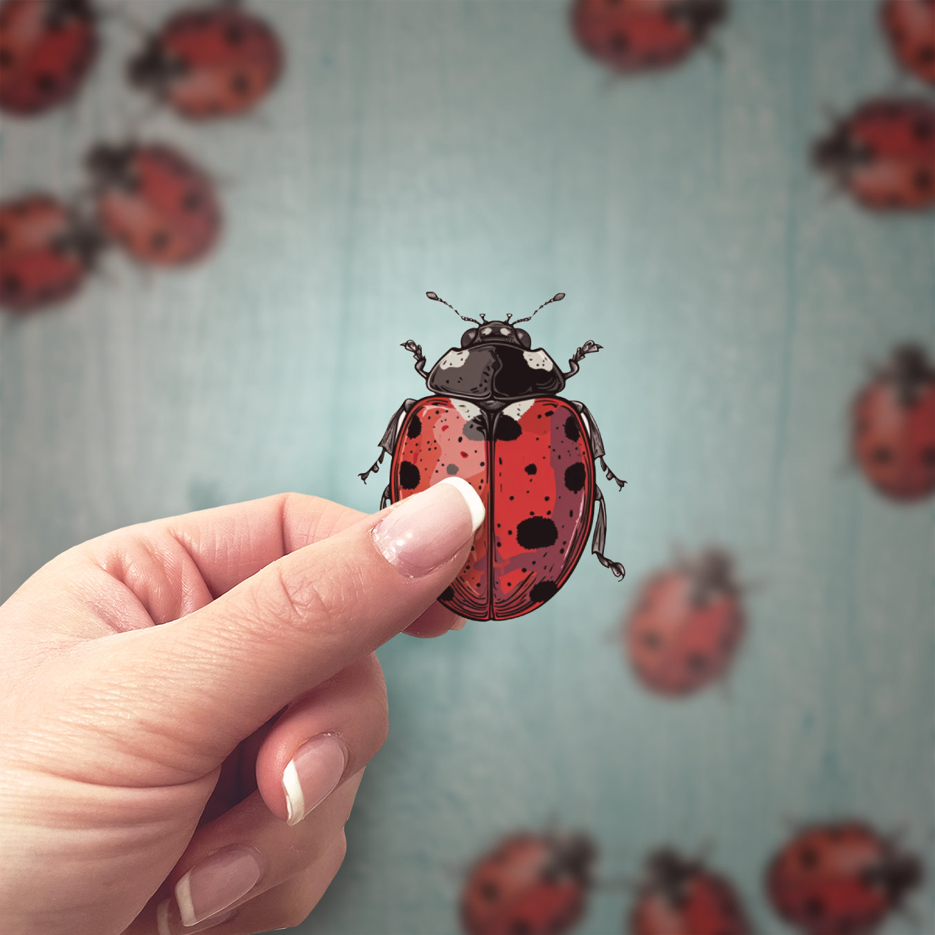 Ladybug Vinyl Sticker, Red Ladybug Decal, Insect Lover Gift, Bug Laptop ...