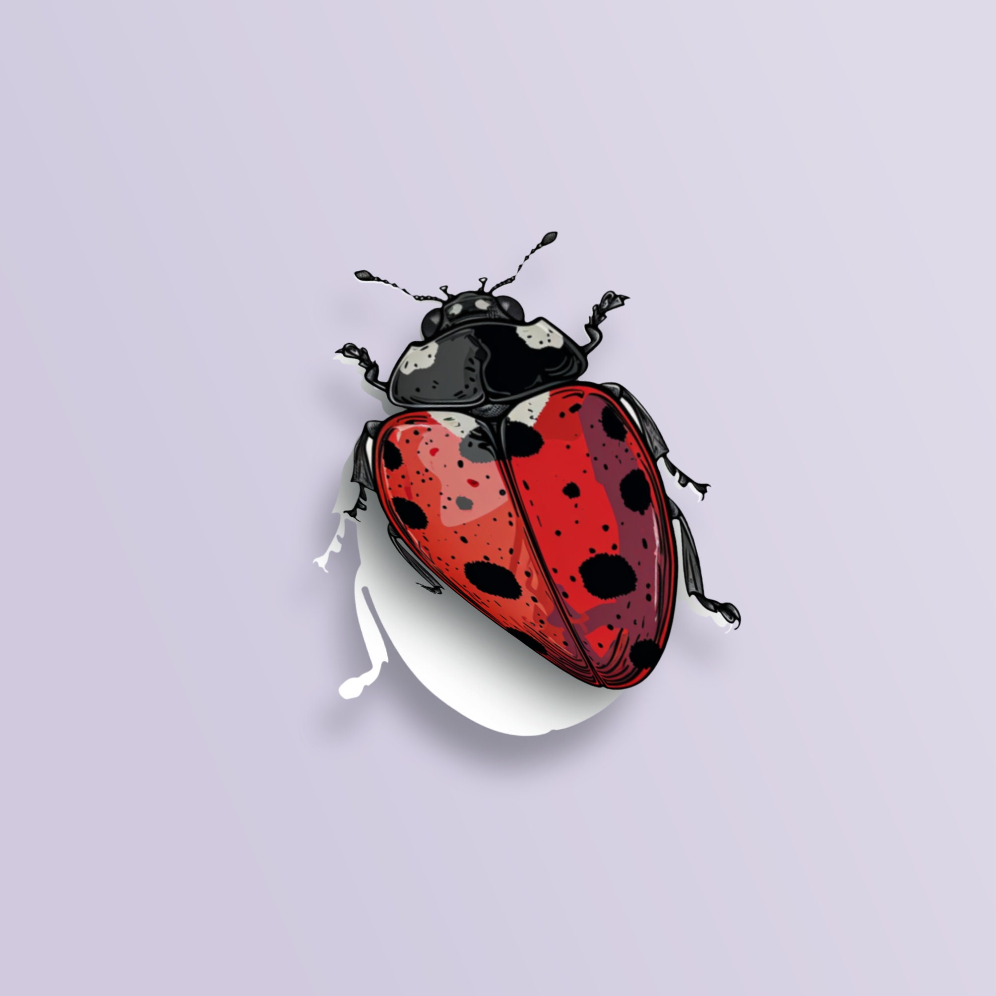 Ladybug Vinyl Sticker, Red Ladybug Decal, Insect Lover Gift, Bug Laptop ...