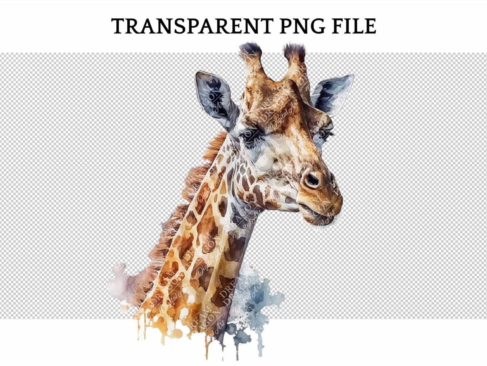 Giraffe Watercolor Clipart Png, Animal Clip Art Png, Digital Download ...