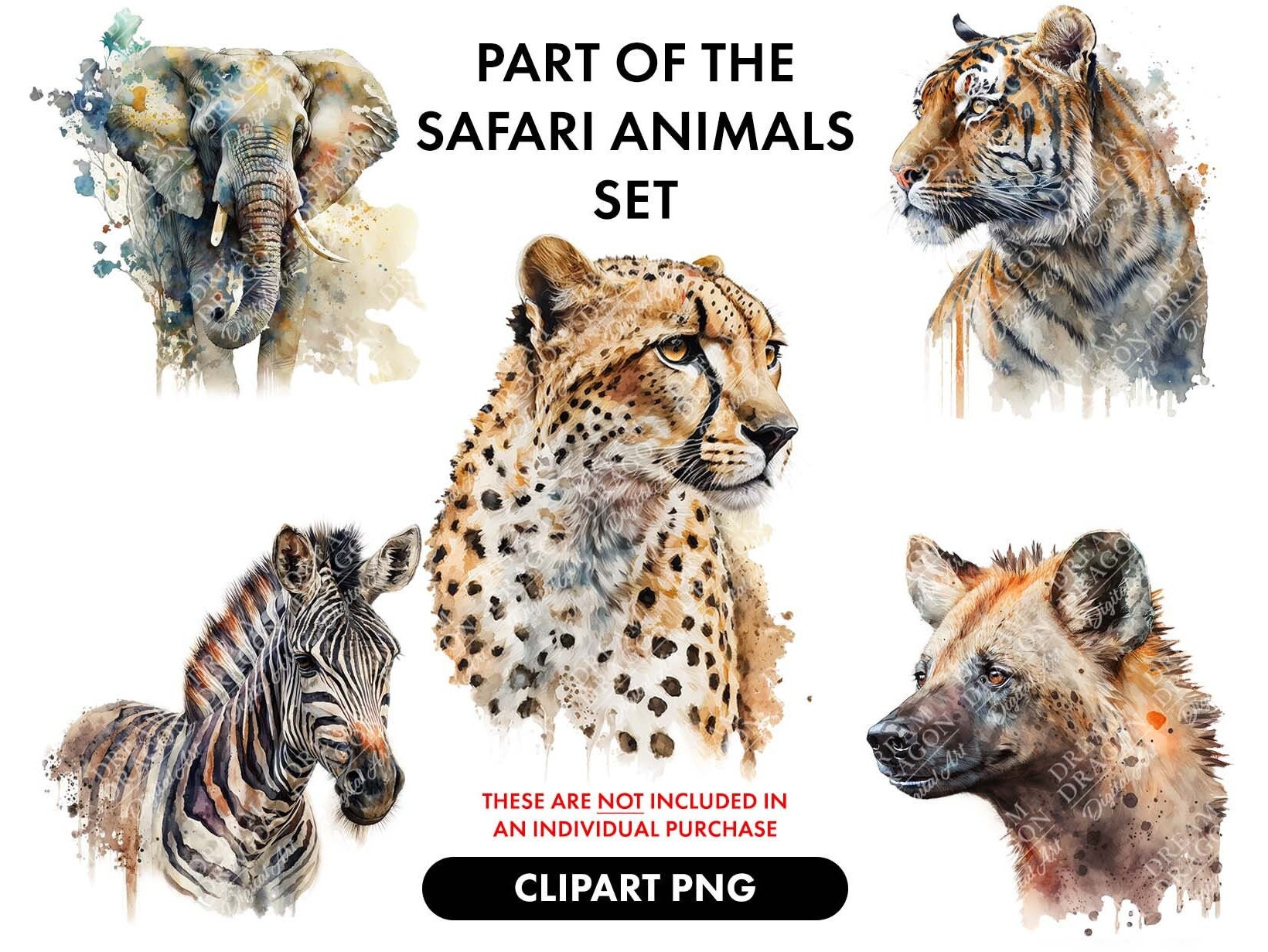 Lion Watercolor Clipart Png, Animal Clip Art Png, Digital Download ...