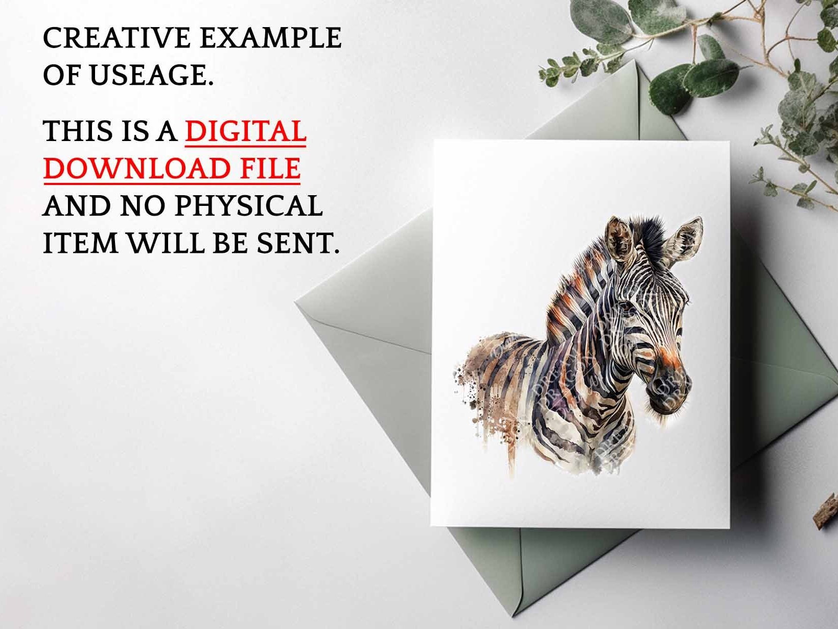 Zebra Watercolor Clipart Png, Animal Clip Art Png, Digital Download ...