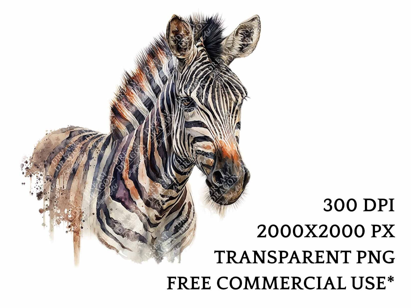 Zebra Watercolor Clipart Png, Animal Clip Art Png, Digital Download ...