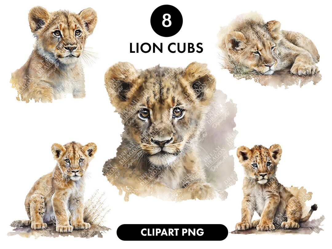 Cute Lion Cubs Watercolor Clipart Bundle, Png Files, Jungle Nursery ...