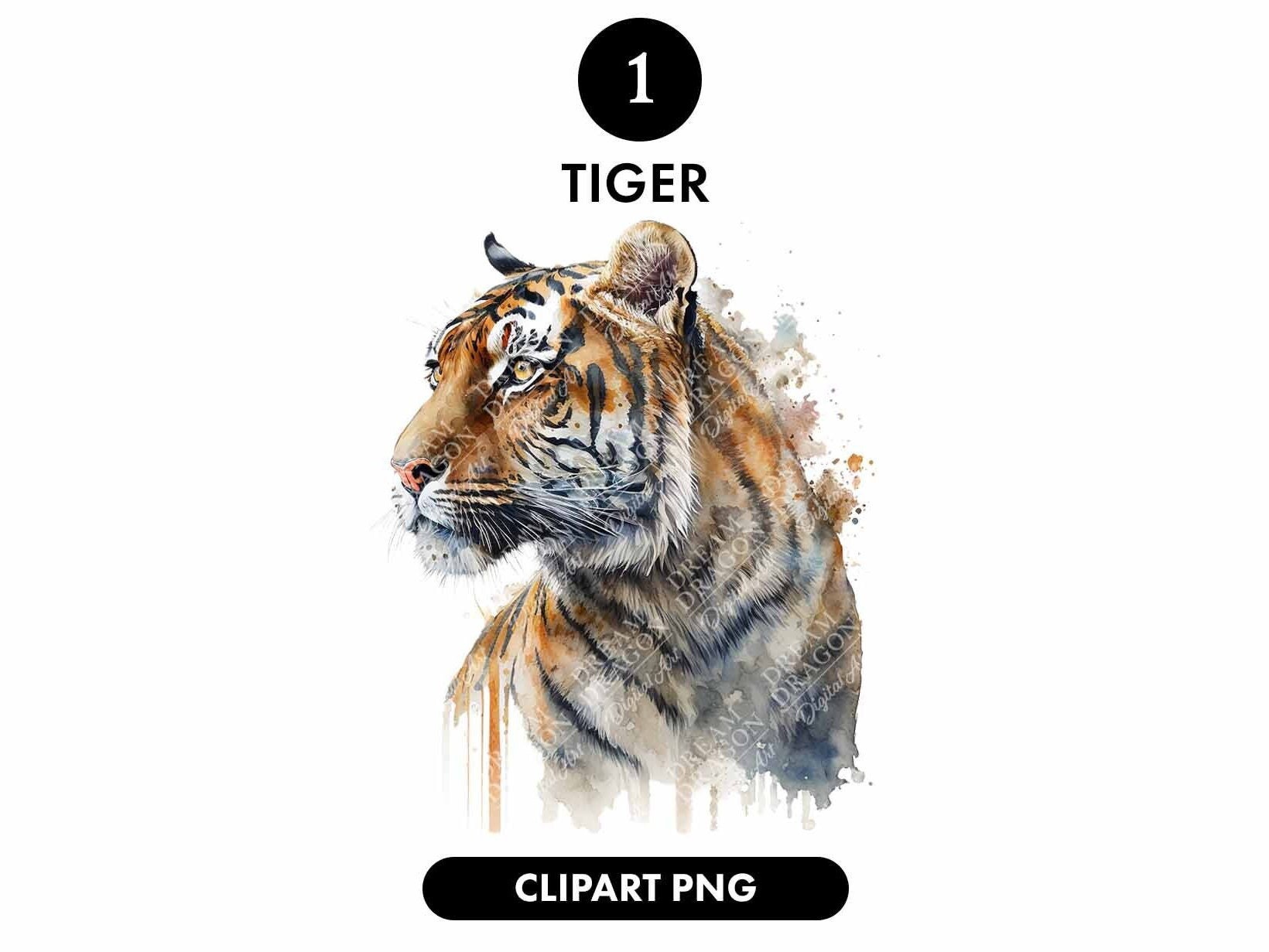 Tiger Watercolor Clipart Png, Animal Clip Art Png, Digital Download ...
