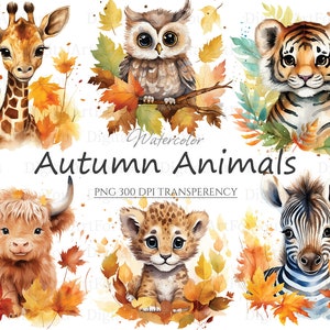 Fall Baby Animals in Leaves 32pc PNG & SVG | Baby Animals Clipart ...