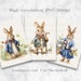 Beatrix Potter Style PNG & SVG Clipart | Baby Shower | Birthday Nursery ...