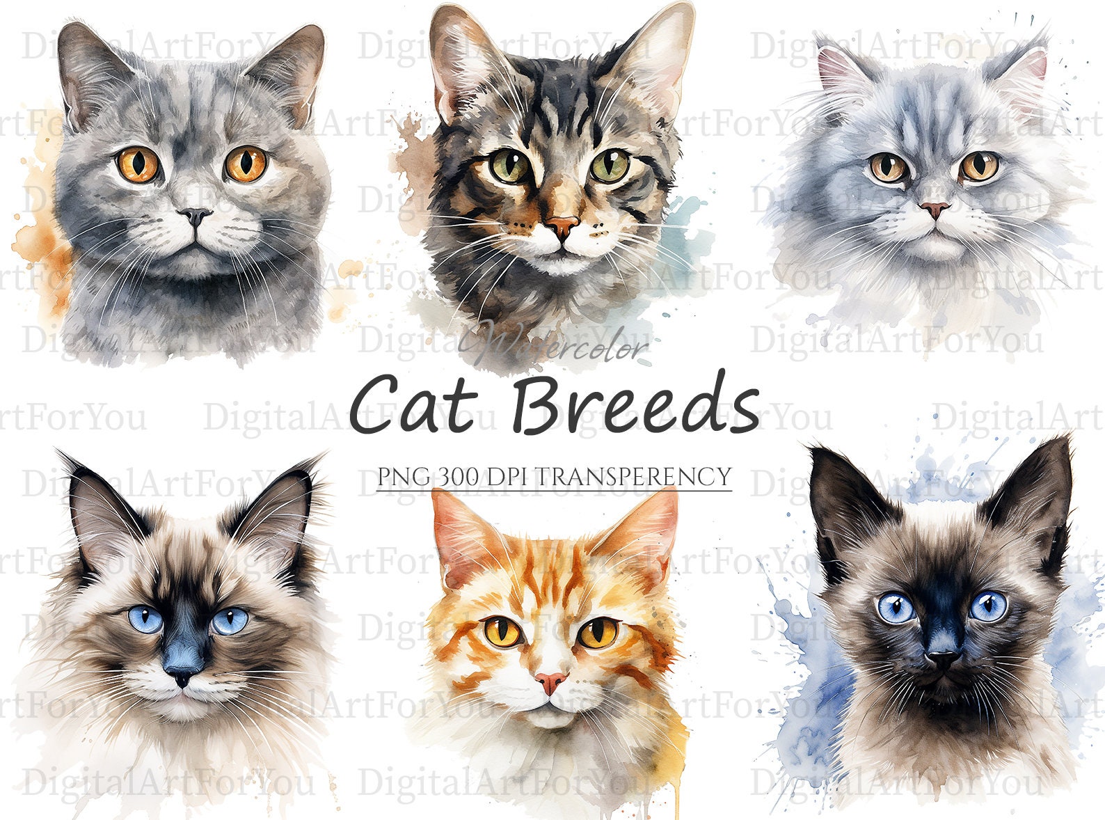Classic Cats 25pc PNG & SVG Cat PNG Cat Watercolor Clipart Commercial ...