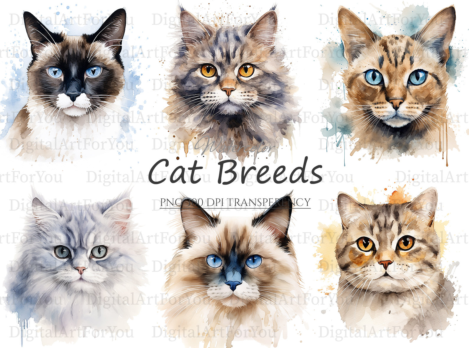 Classic Cats 25pc PNG & SVG Cat PNG Cat Watercolor Clipart Commercial ...