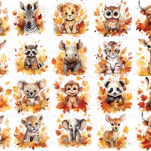 Fall Baby Animals in Leaves 32pc PNG & SVG | Baby Animals Clipart ...