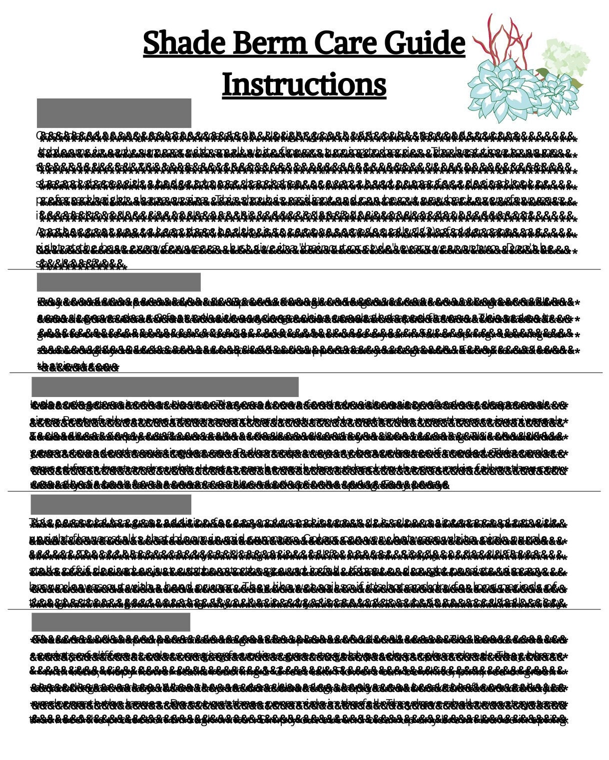 Hand Drawn, to Scale Landscape Design With 2D Rendering, Digital Print ...