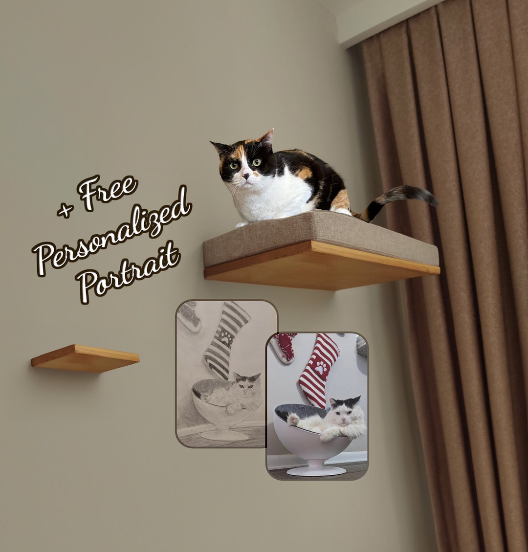 Modern Wooden Cat Shelves Create a Cozy Space for Your Feline Friend ...